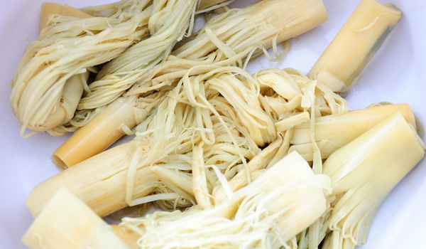 Bamboo