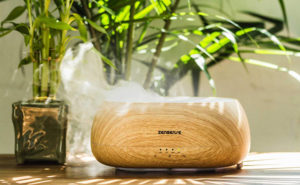 ZenSense- The Best Non-Toxic Home Scenter - Best Non-Toxic Gifts