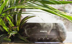 ZenSense- The Best Non-Toxic Home Scenter - Best Non-Toxic Gifts